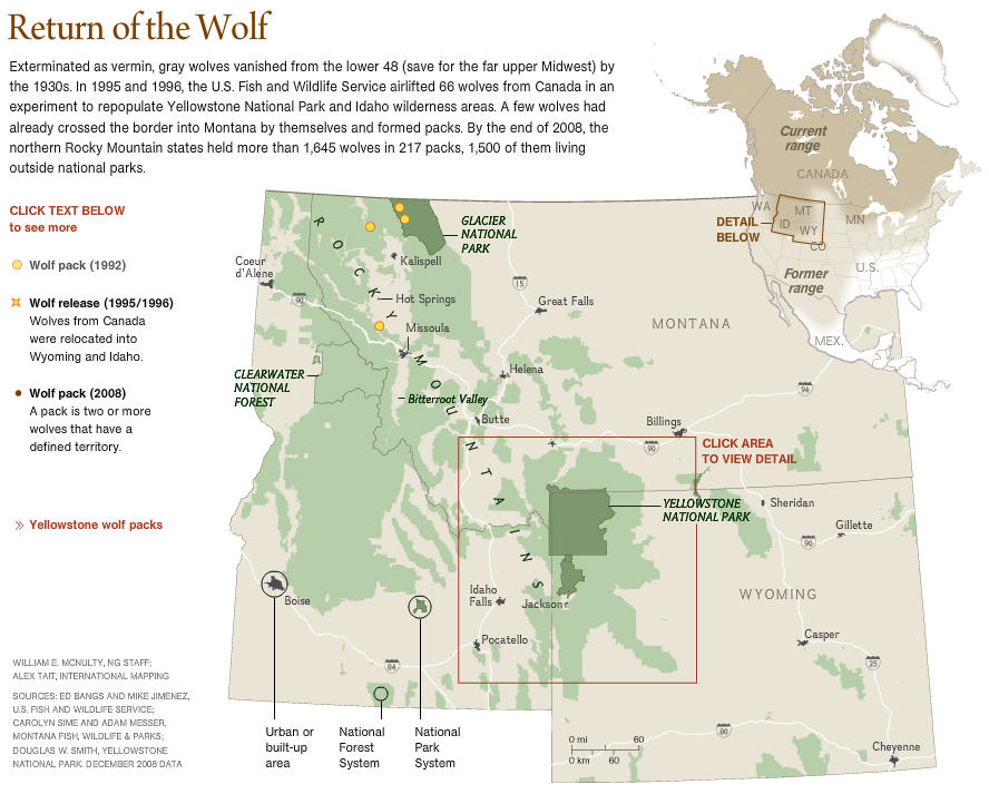 Wolves in my backyard - John D. Brown - the author's official site